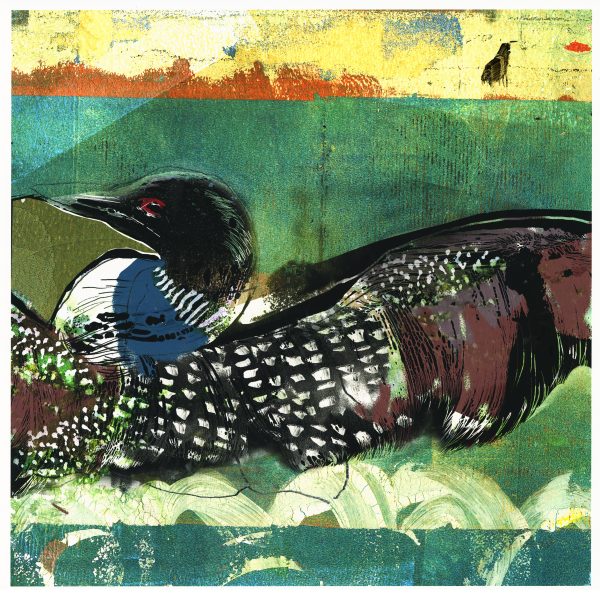 Audubon Magazine common loon bird art print – ebondwork